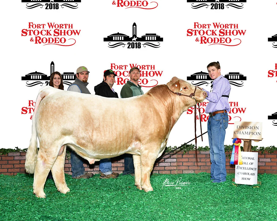 Skeans Cattle Co - Sires — Skeans Cattle Company