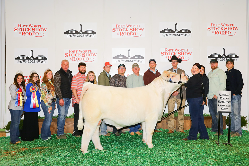 Skeans Cattle Co - Sires — Skeans Cattle Company
