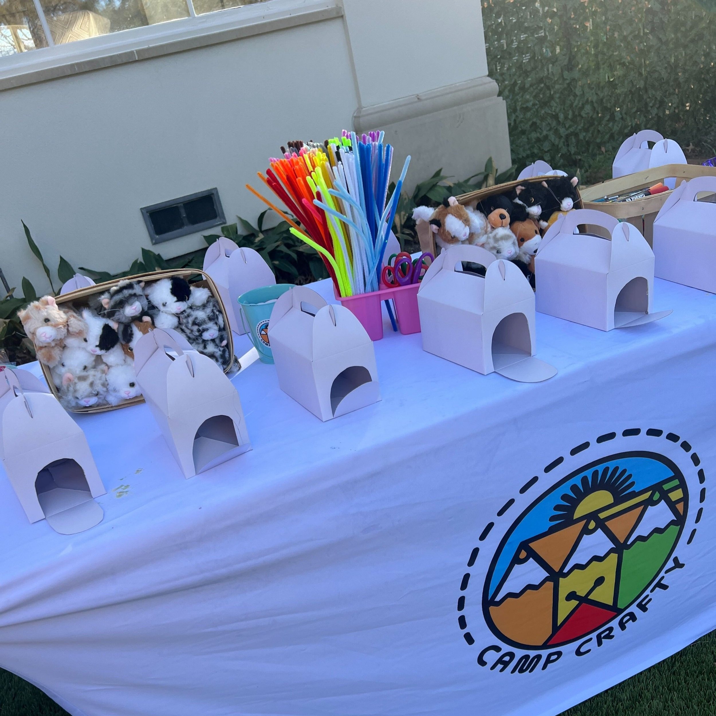 Arts and Crafts Activities for Birthday Parties — Camp Crafty