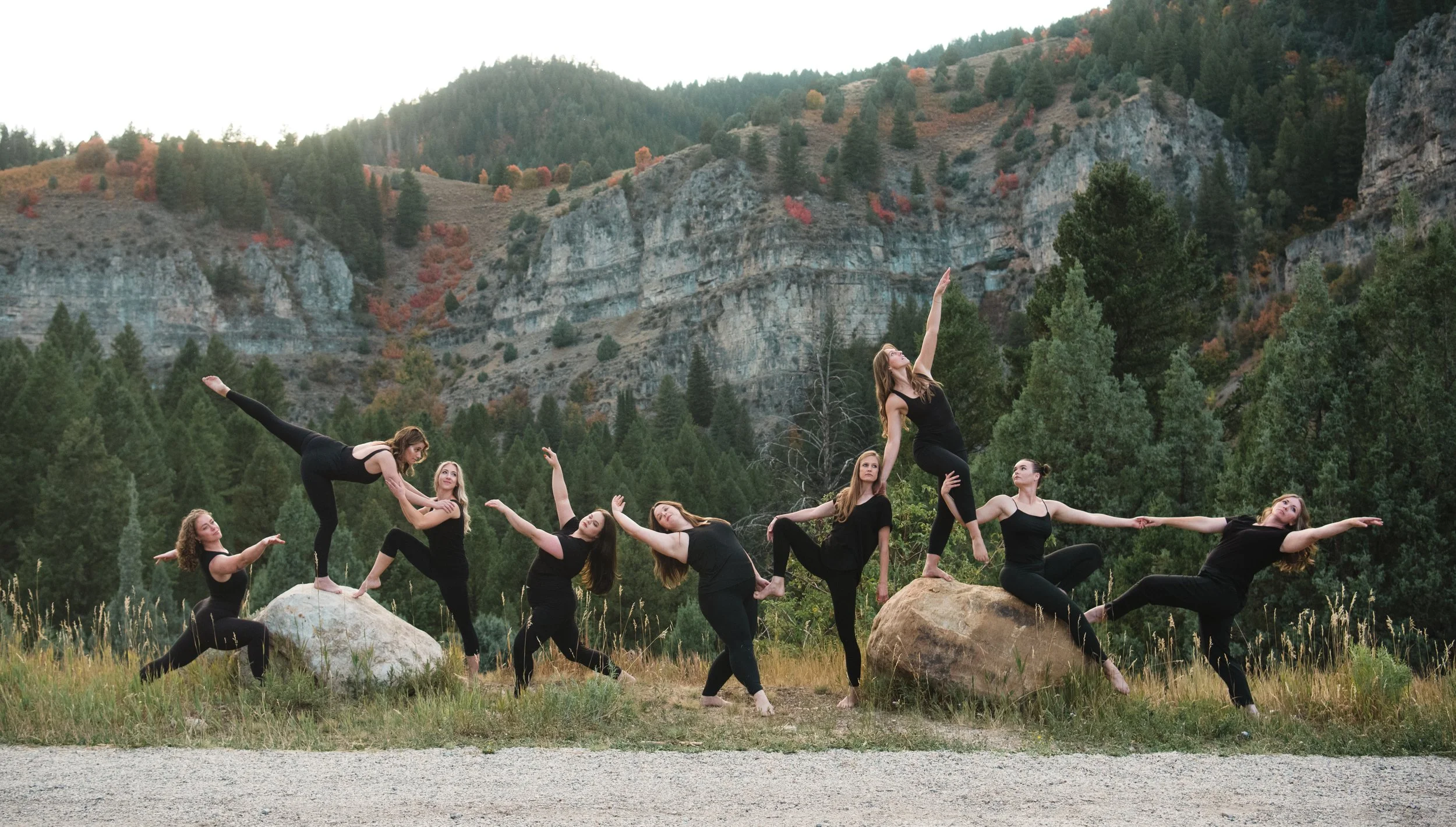 About Us — VALLEY DANCE ENSEMBLE