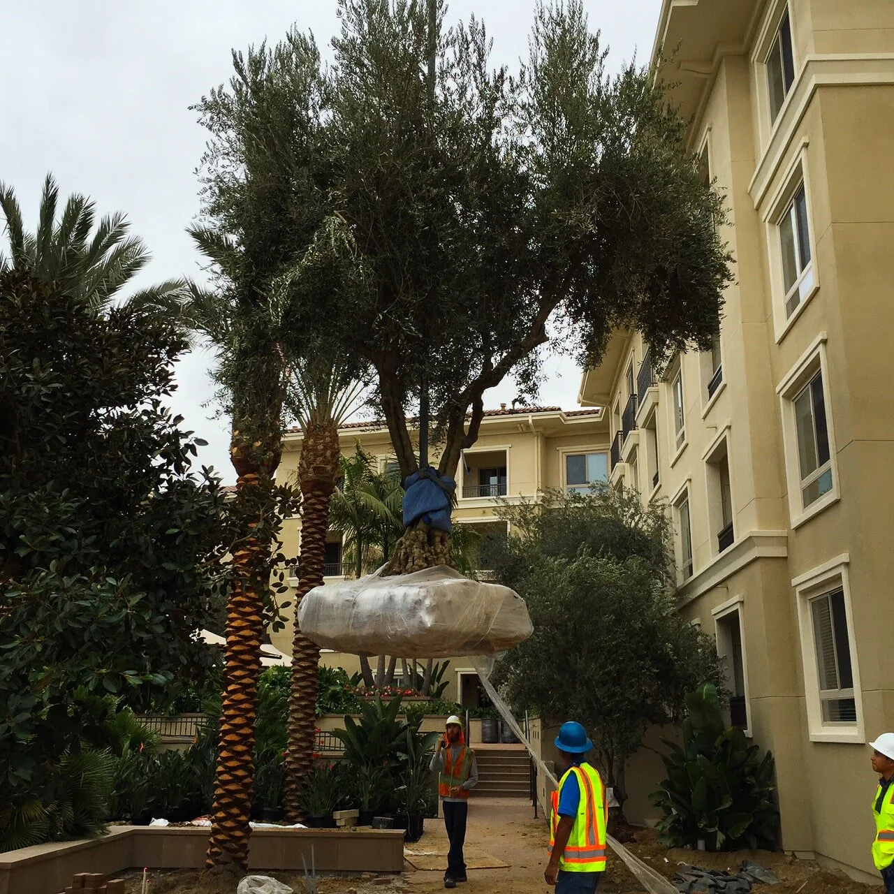 Gallery — Green Pacific