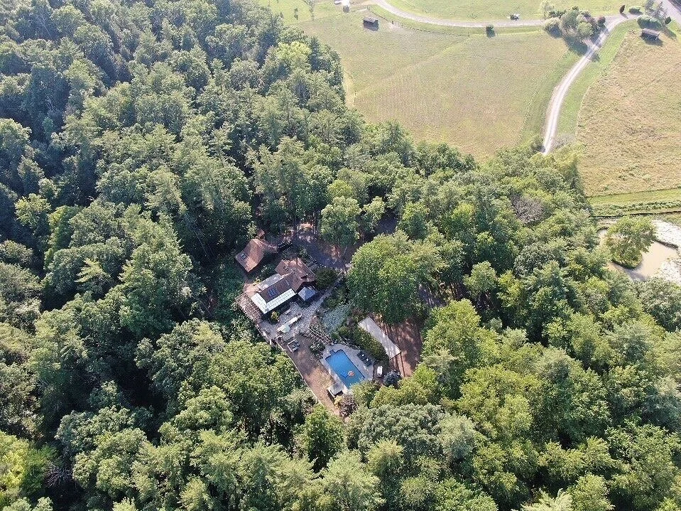 Welcome to Grateful Woods