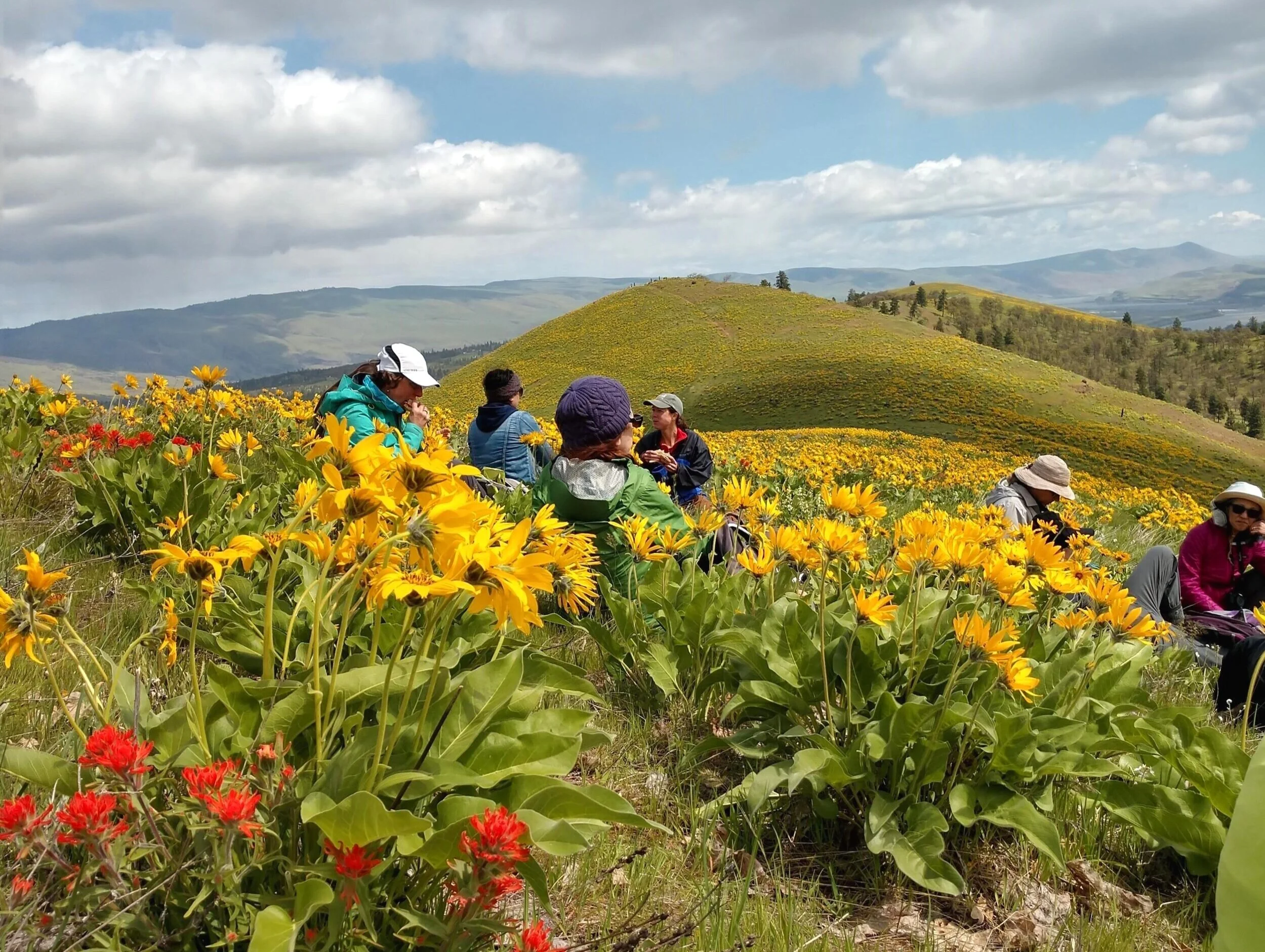 Native Plant Society of Oregon Portland Chapter