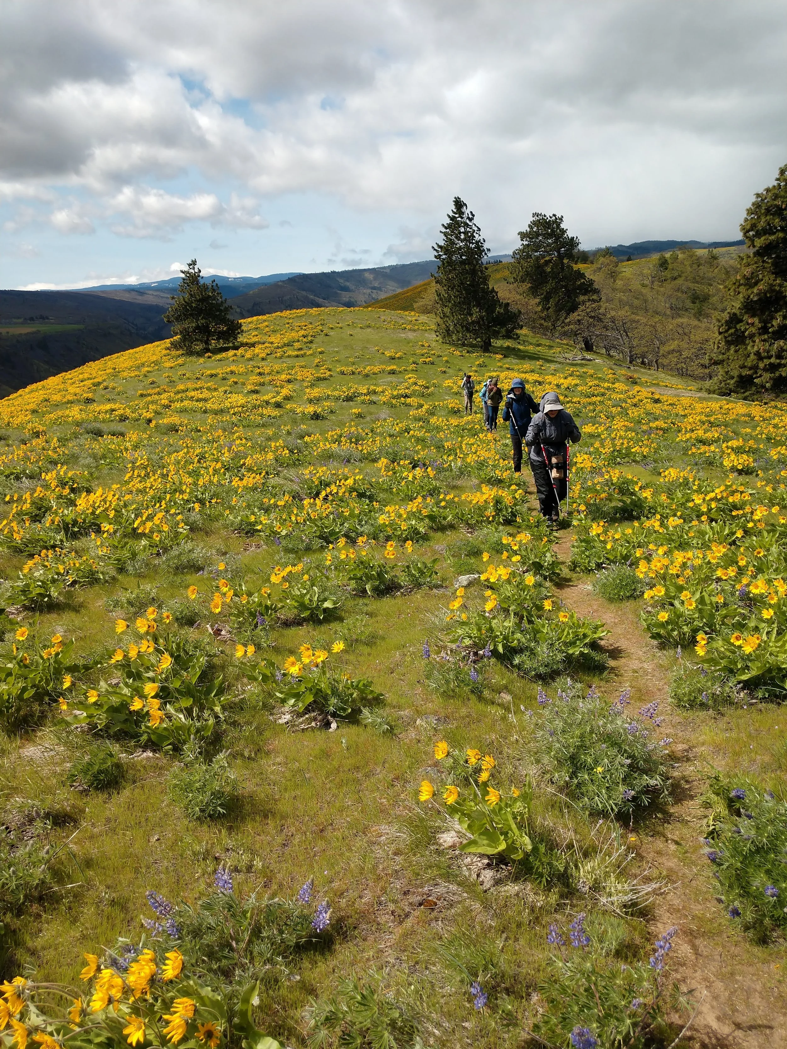 Native Plant Society of Oregon Portland Chapter