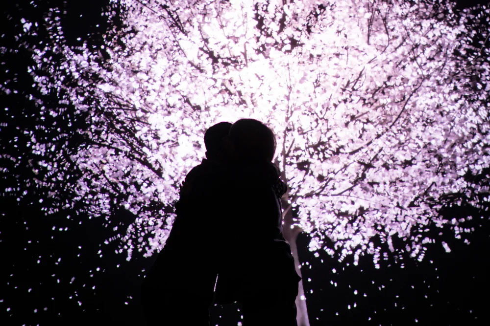 Blooming — Lisa Park