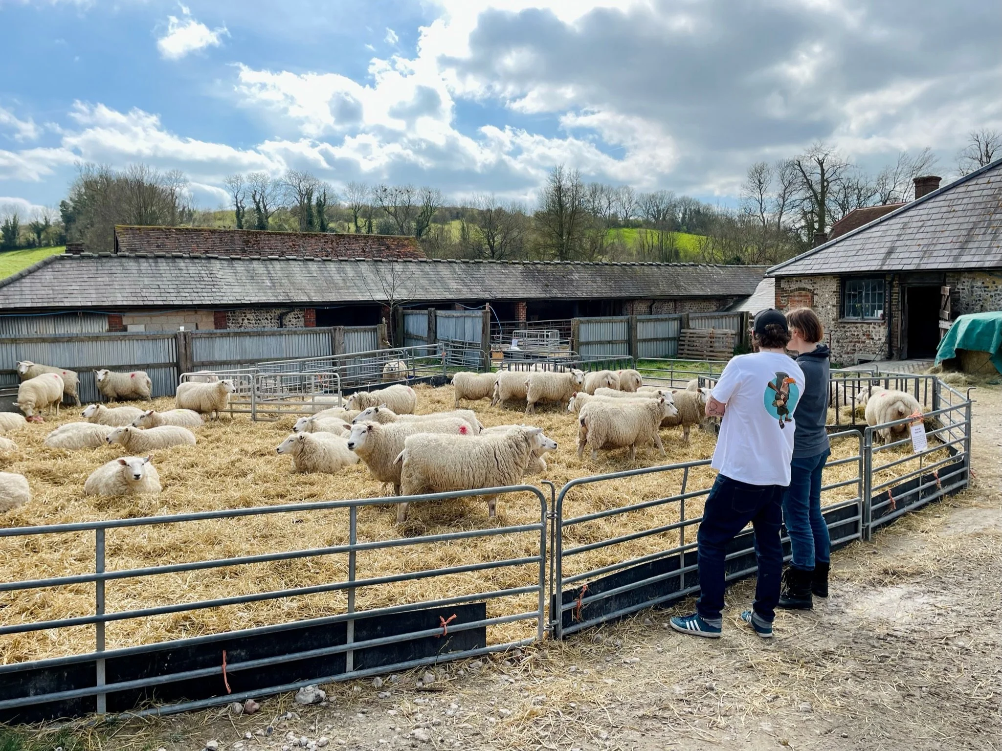 Our Story — Kindling Restaurant