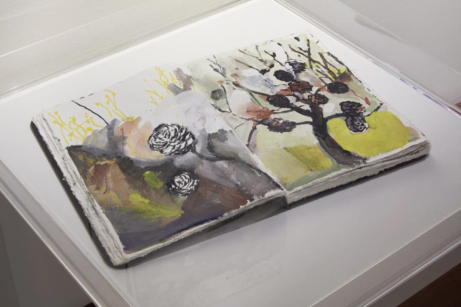 2020 The Garden — LAURA JONES
