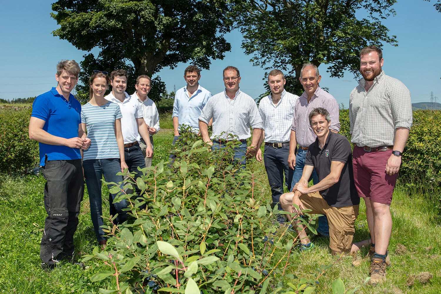 What is a Honeyberry | Embrace the Superberry - Try Now — Scottish ...