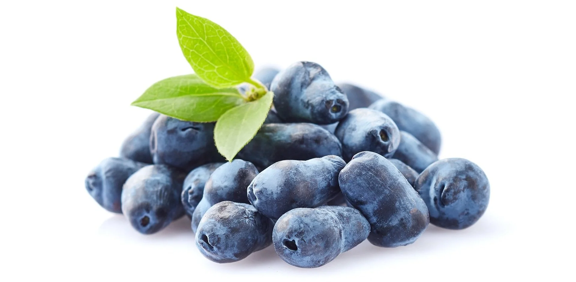 Scottish Honeyberry Growers | The Honeyberry Experts