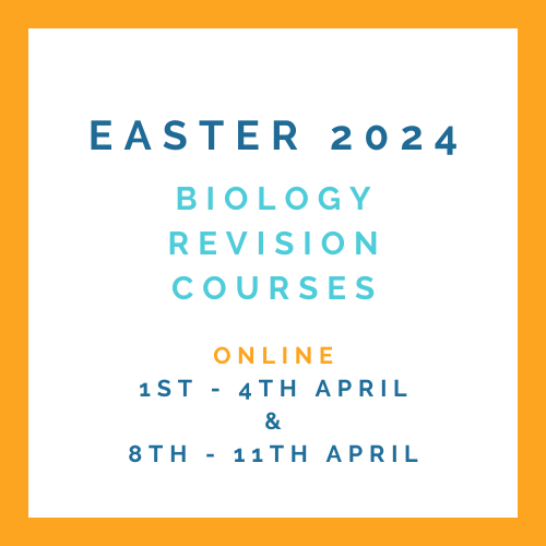 A Level Easter Revision Courses 2024 | Available Online | 1st - 4th and ...