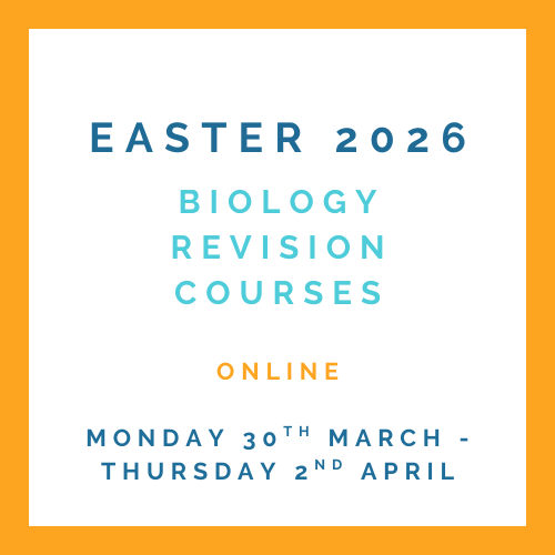 A Level Easter Revision Courses 2026 | Available Online — A Level ...