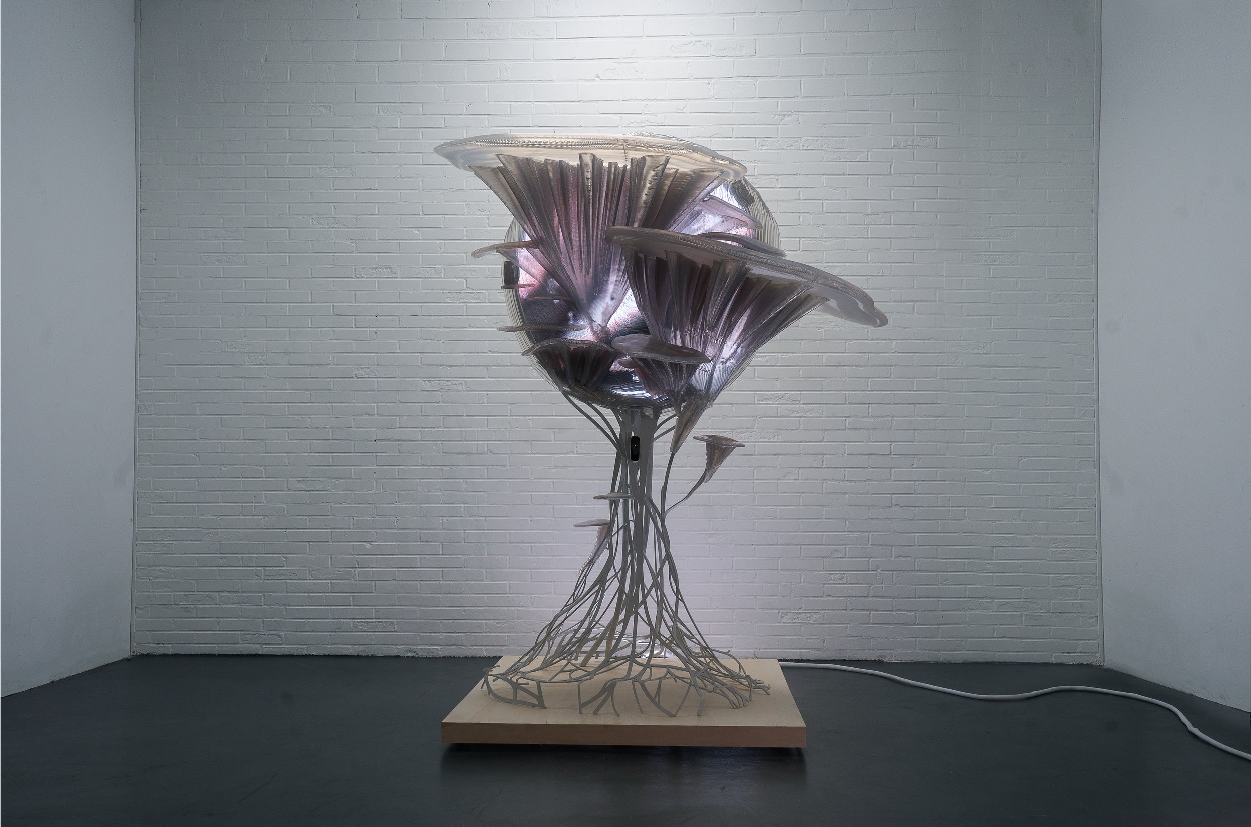 Thijs Biersteker —Fungal Faculty