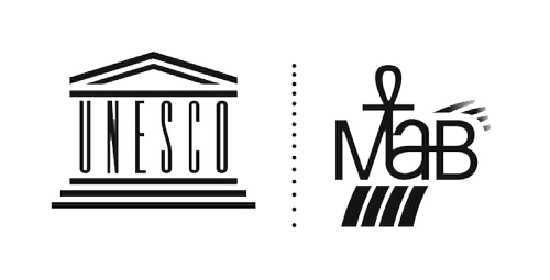 Thijs Biersteker —The art installation 'Amazonium' brings to life the ...