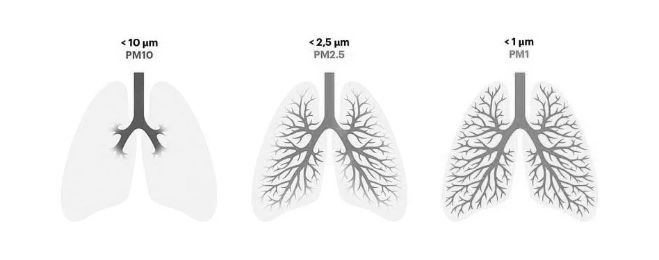Thijs Biersteker —Gasp