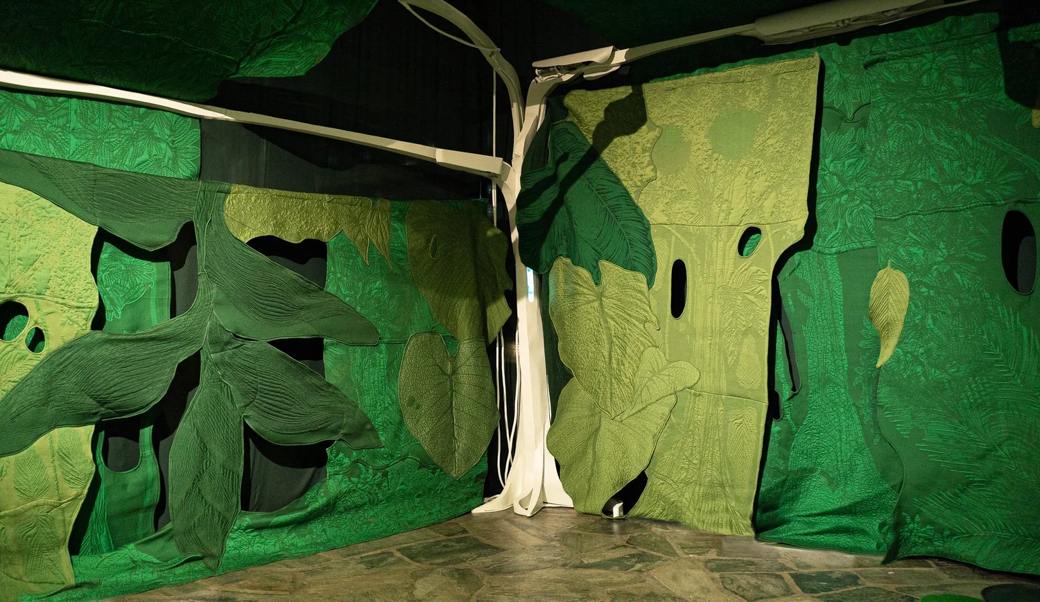 Thijs Biersteker —UNESCO X WITHER A slice of rainforest disappearing at ...