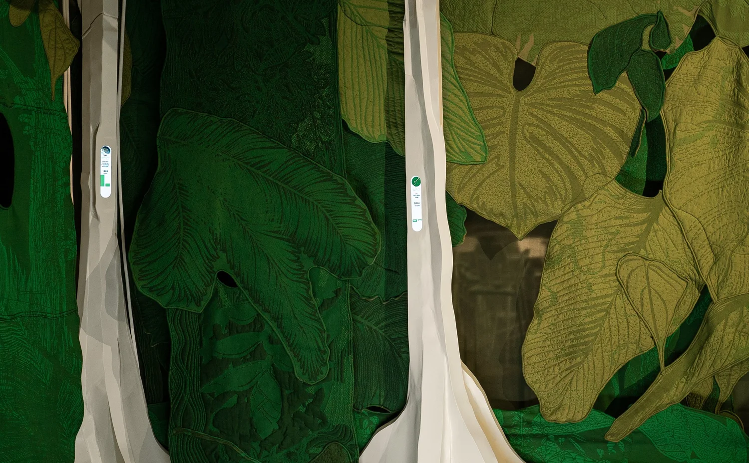 Thijs Biersteker —UNESCO X WITHER A slice of rainforest disappearing at ...