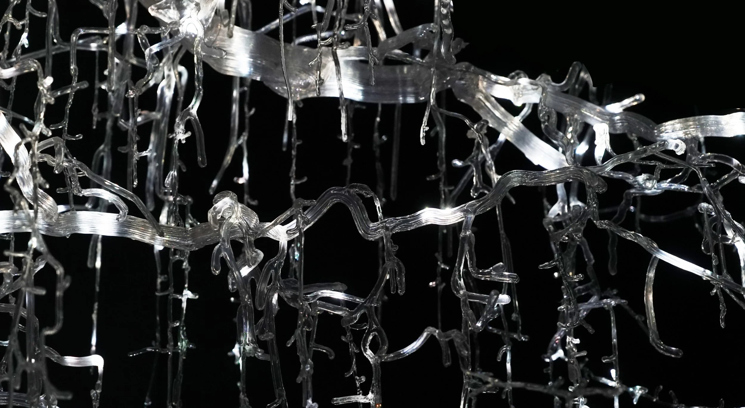 Thijs Biersteker —Econtinuum at MEG