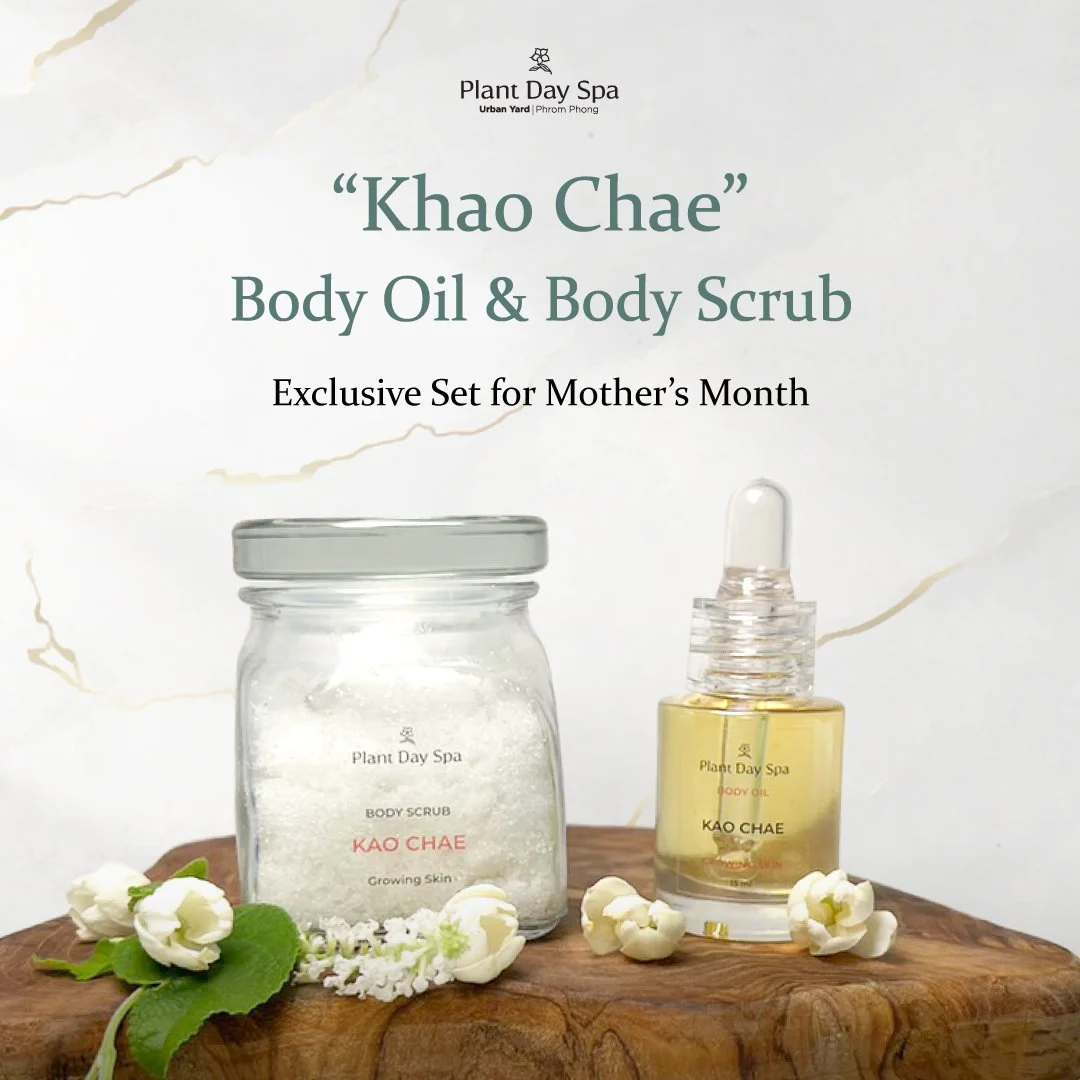 PLANTDAYSPA I Thai Massage And Wellness Spa I นวดและสปา นวดหน้า ร้านนวดเพื่อสุขภาพ นวดกดจุด นวด ...