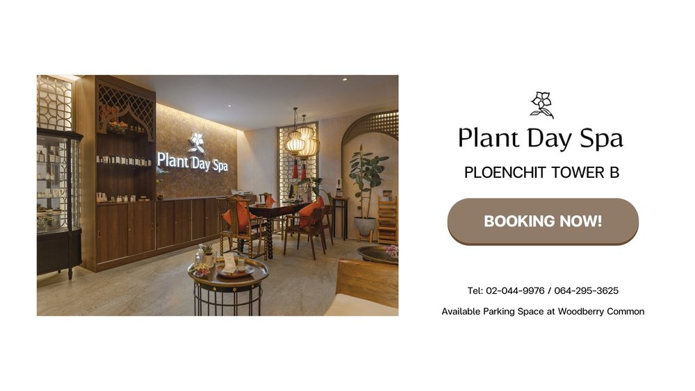 Plant Day Spa Heart Bangkok I Wellness Spa In Bangkok