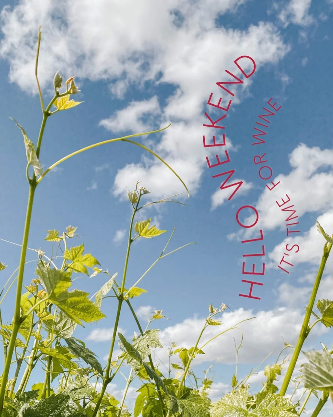 Grindstone Winery & Vineyards