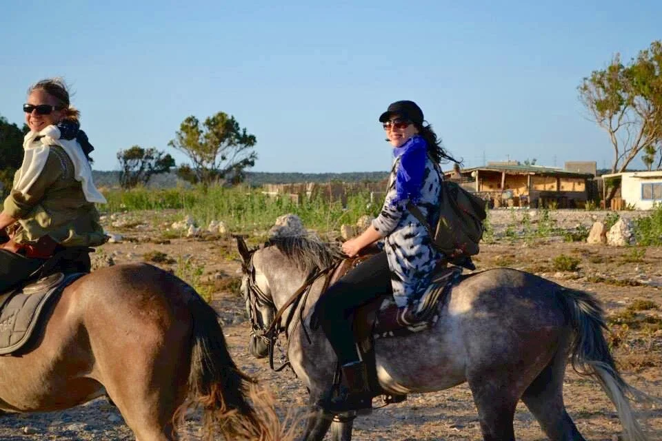 Coastal Horse Riding In Morocco — Morocco Retreats