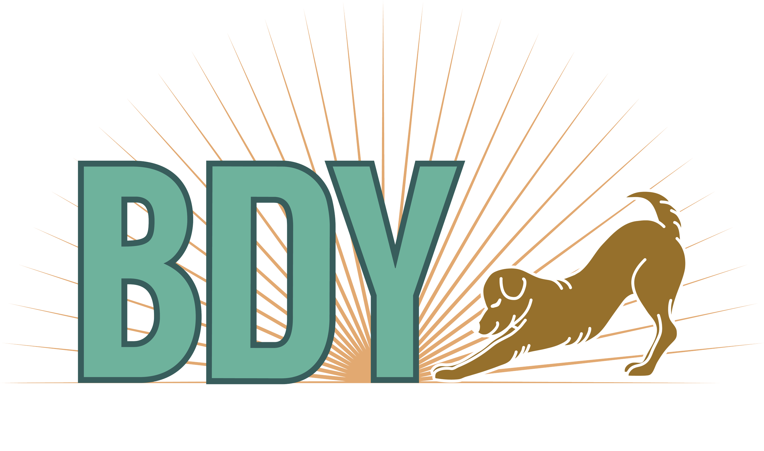 Fitness Studio | Yoga, Barre, Cycle & Fusion Classes | BDY