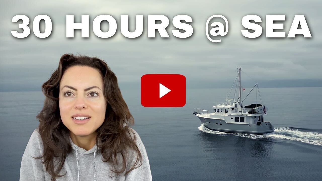 The Crew of MV Freedom — MV FREEDOM SEATTLE