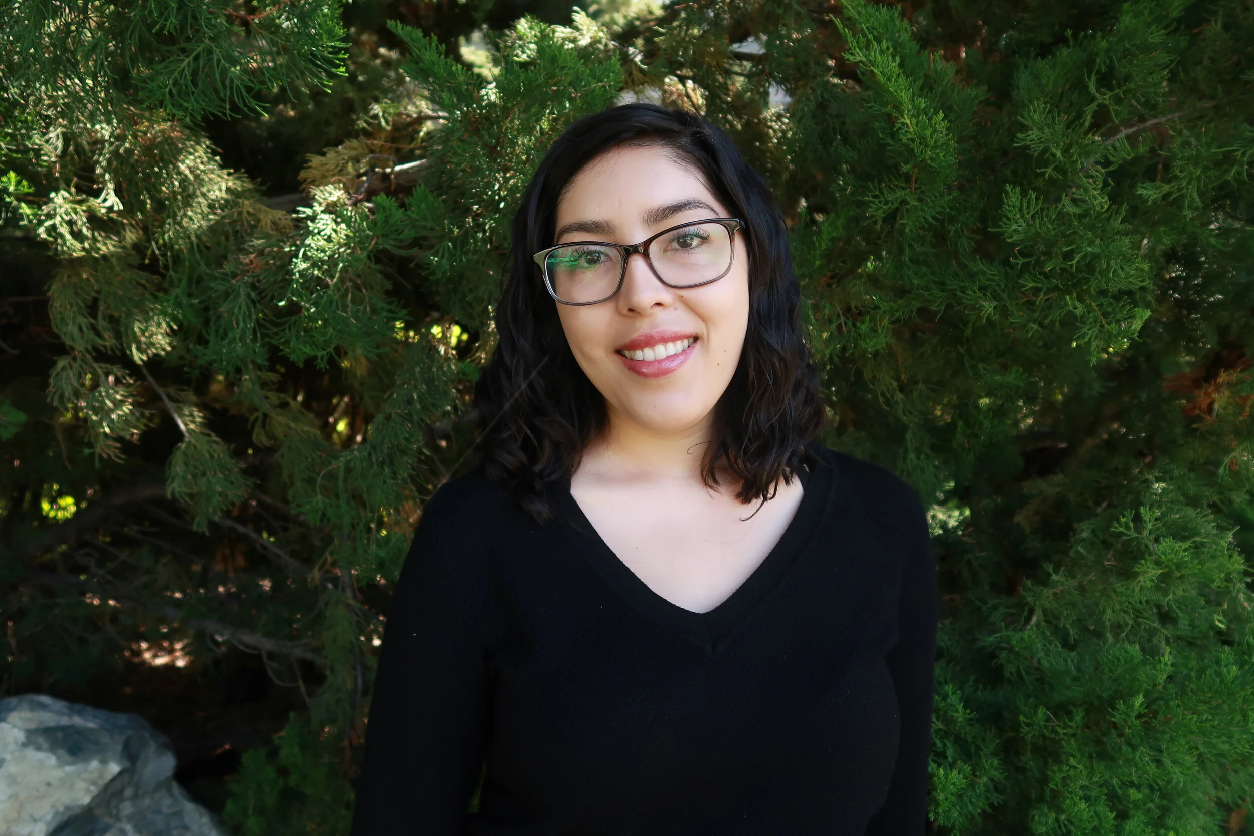 Elisa Alvarez LCSW | In-person & Online Counselor | Trust Mental Health