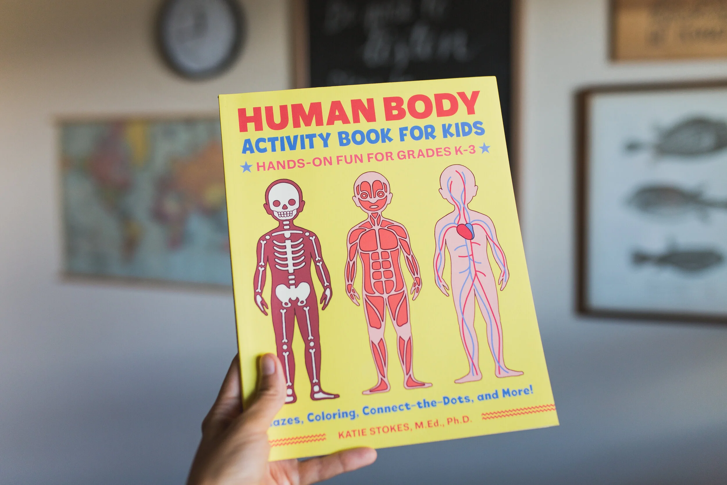 The Skeletal System Homeschool Lesson With The Strubhars The Skeletal System Homeschool Lesson With The Strubhars
