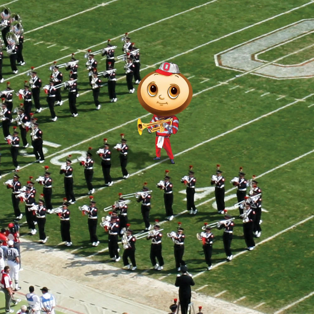 Meet Baby Buckeye! — Tiny Team Books