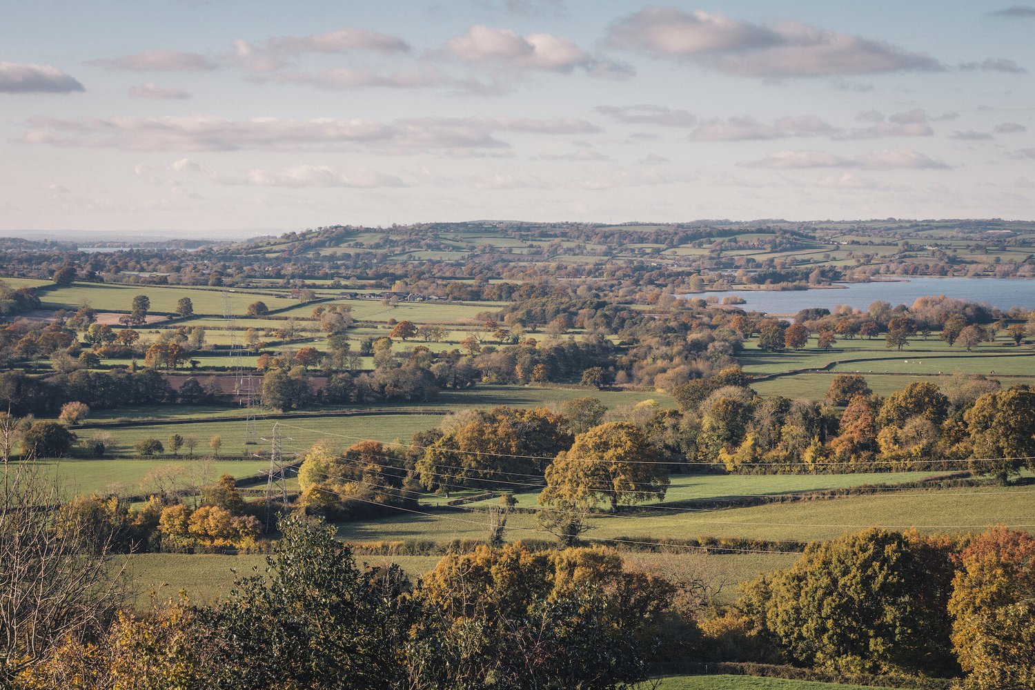 About Us — CHEW VALLEY DAIRY