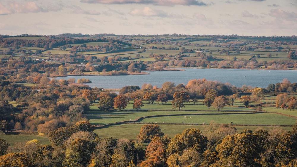CHEW VALLEY DAIRY