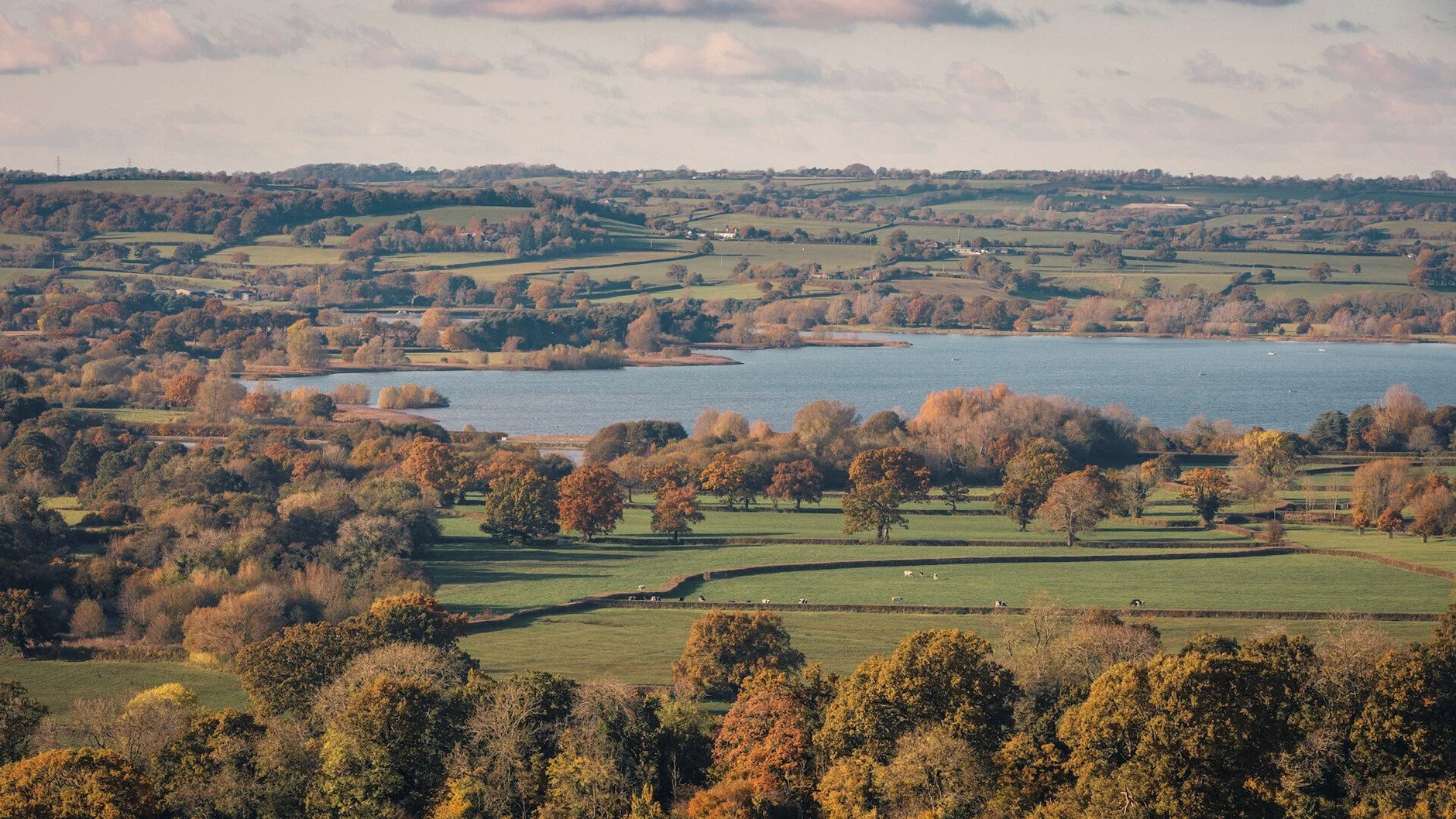 CHEW VALLEY DAIRY