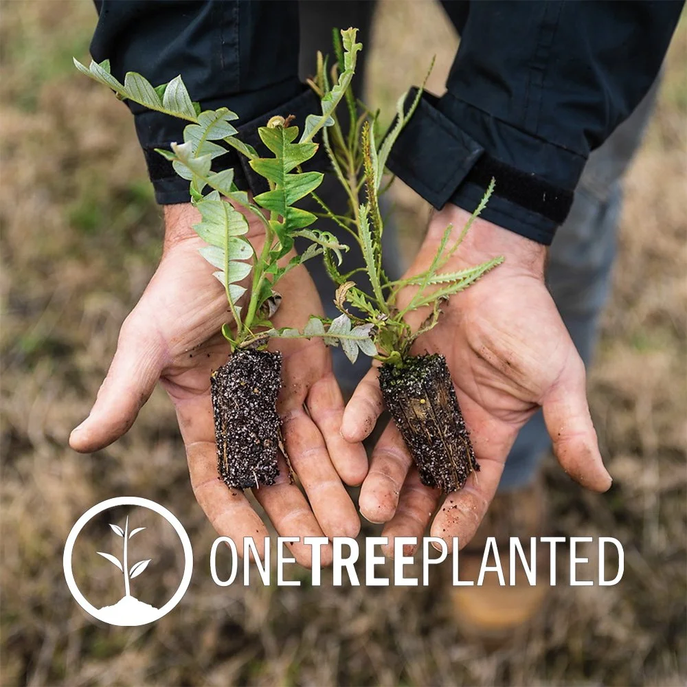 People and Planet — Pura Vida Ecolodge