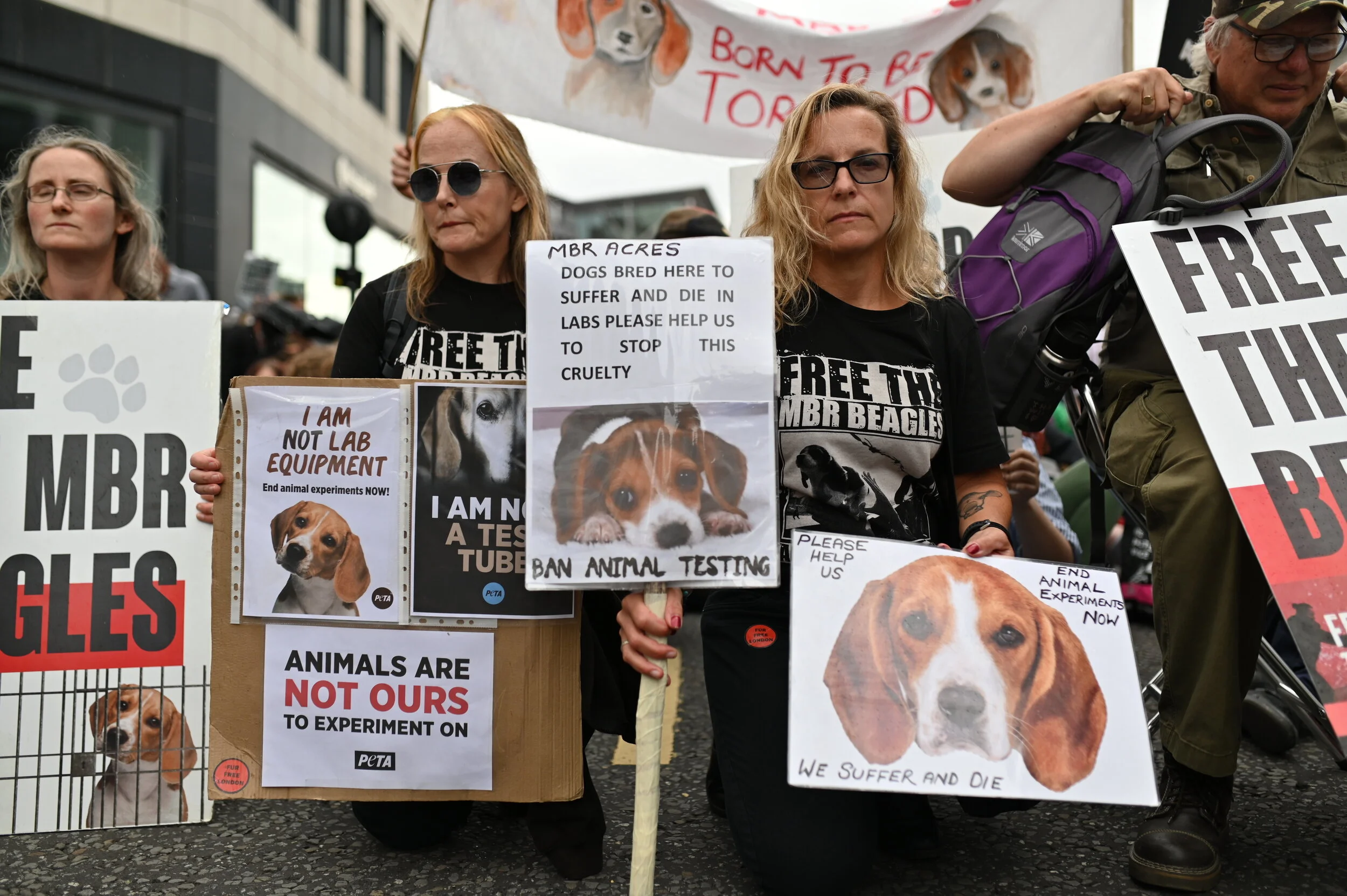 Why march for animal rights?