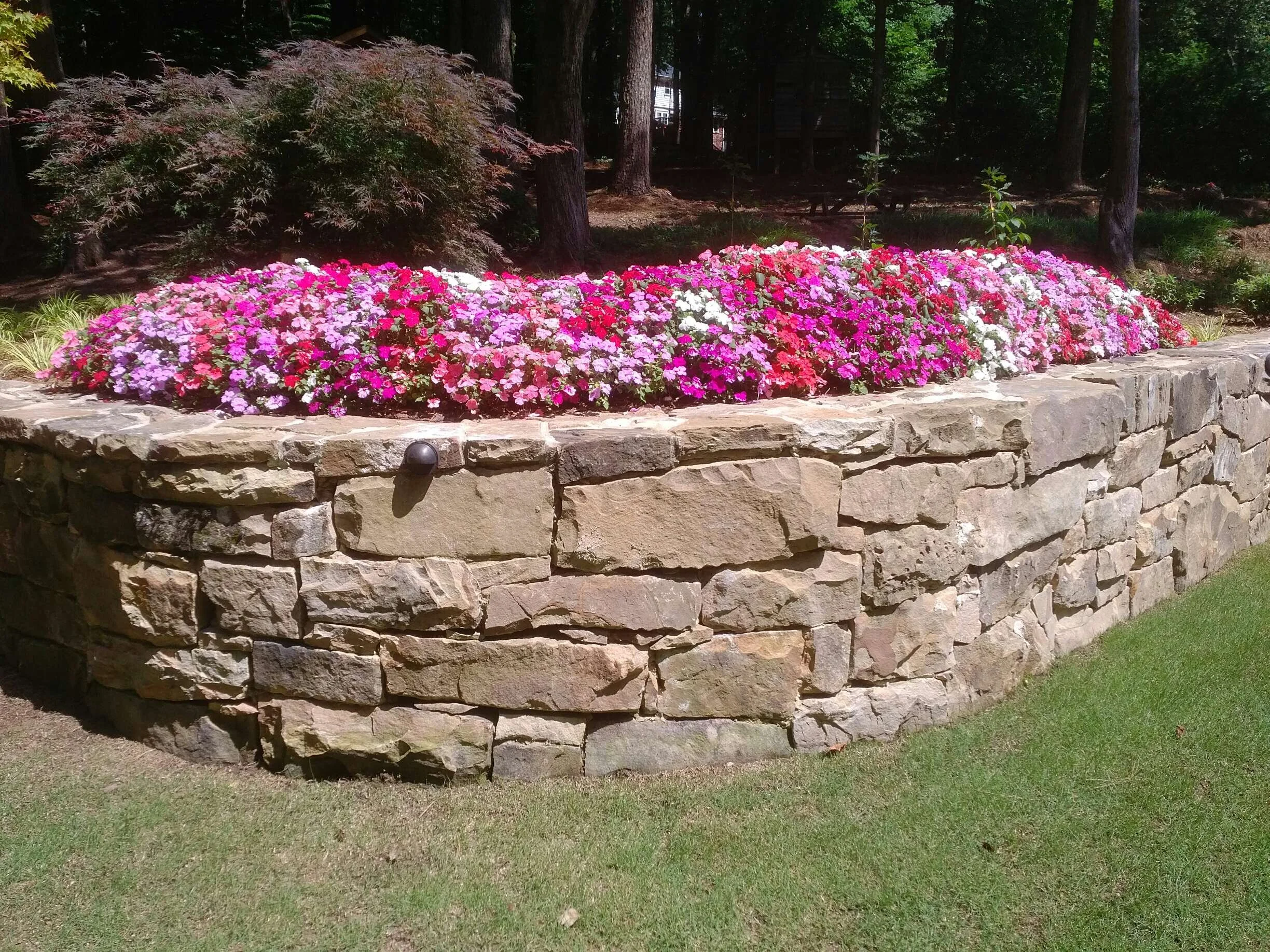 Services — Jake Warren