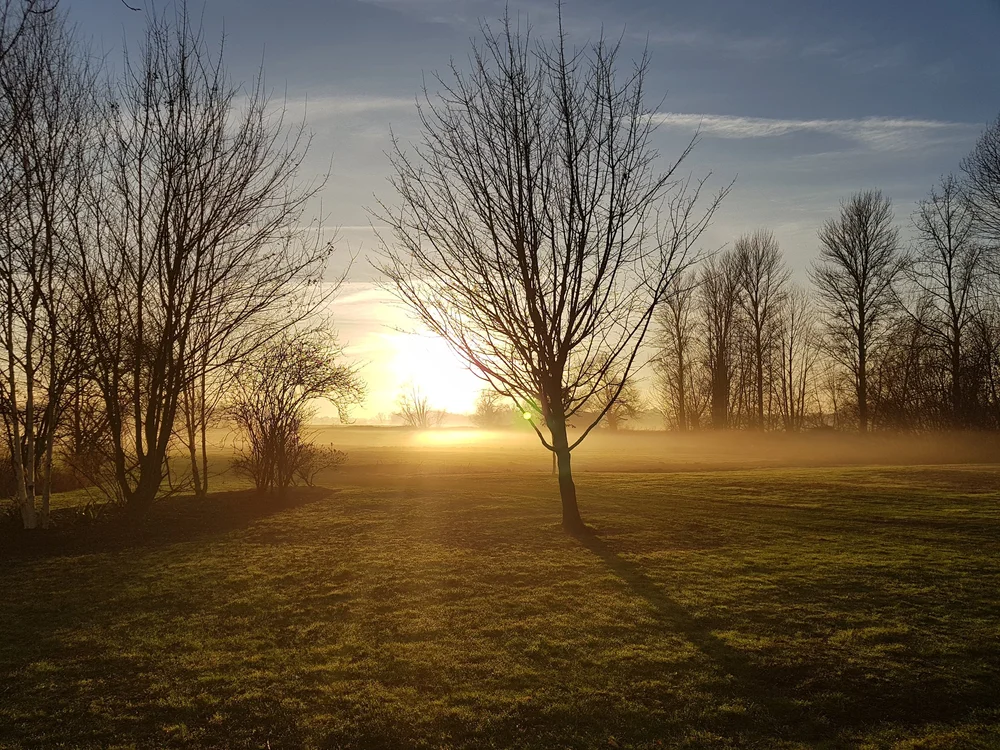 Packages — Tuddenham Mill