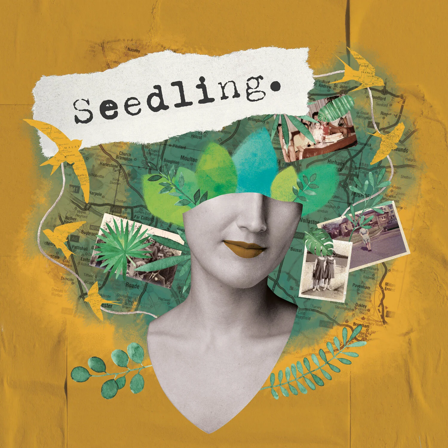 Seedling — Carbon