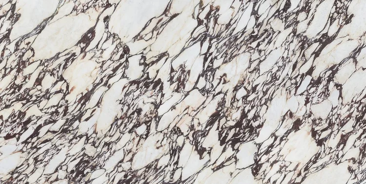 Infinity Calacatta Viola - Porcelain - 1 Slab — First Class Marble ...