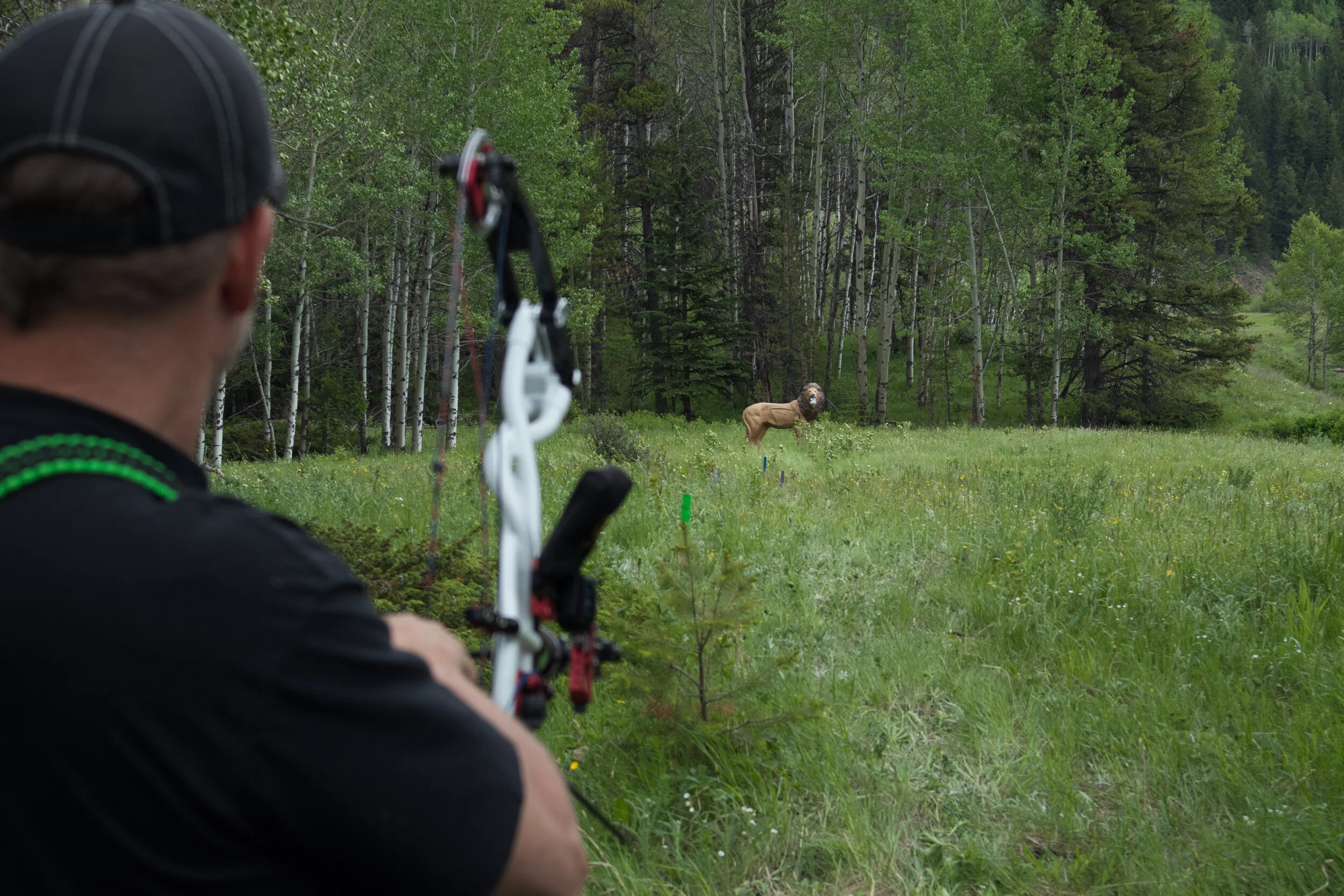 Cranbrook Archery Club