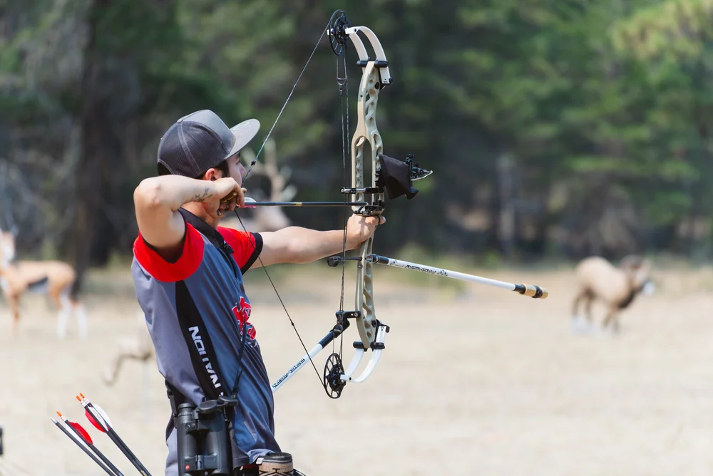 3D Archery — Cranbrook Archery Club