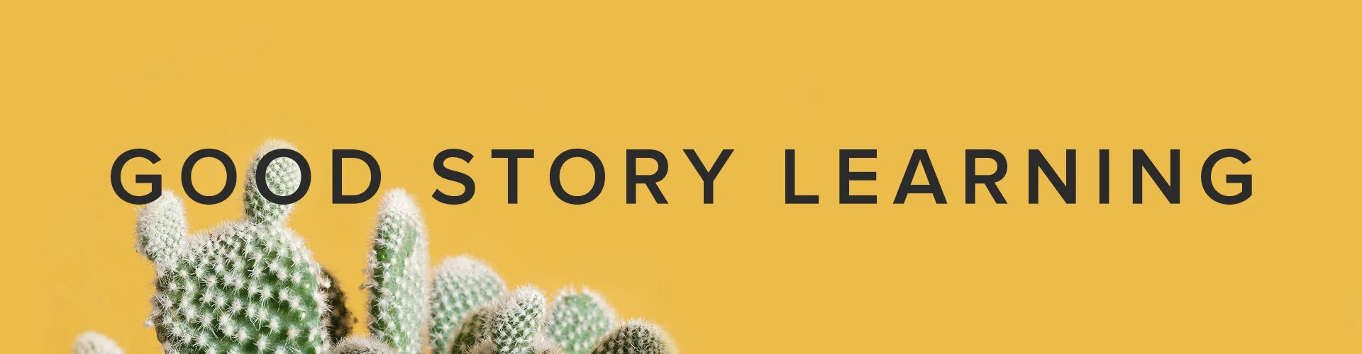 Good Story Company