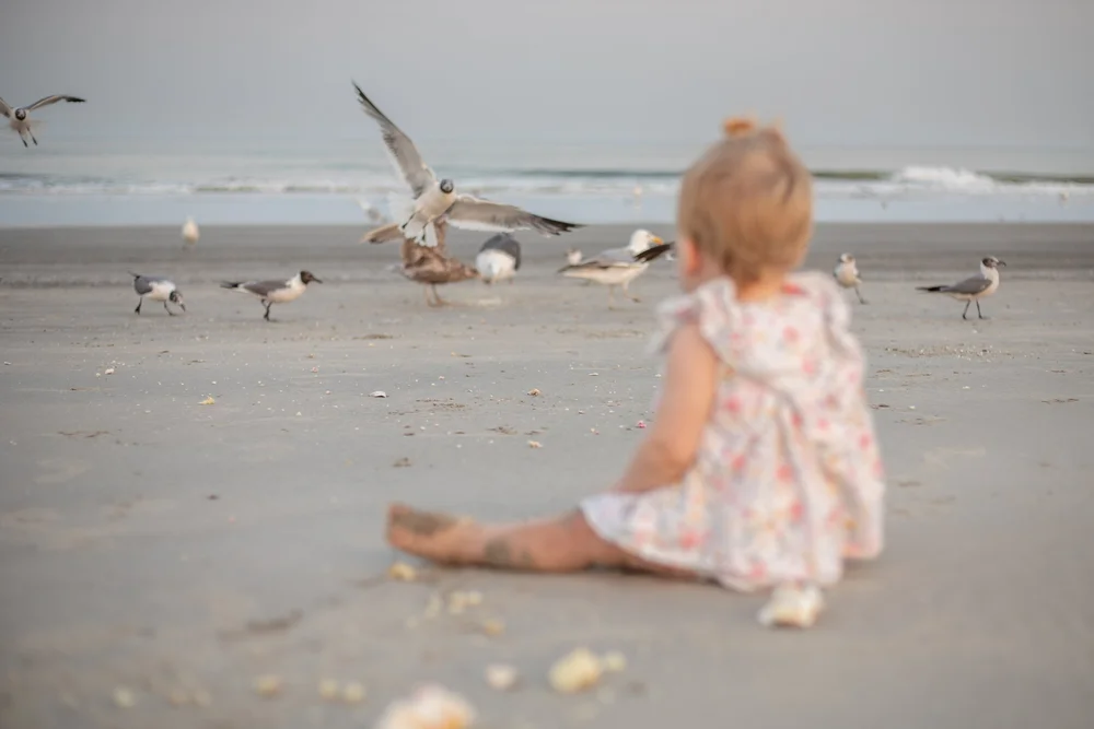 Your Investment with Casey's Photography — Casey's Photography