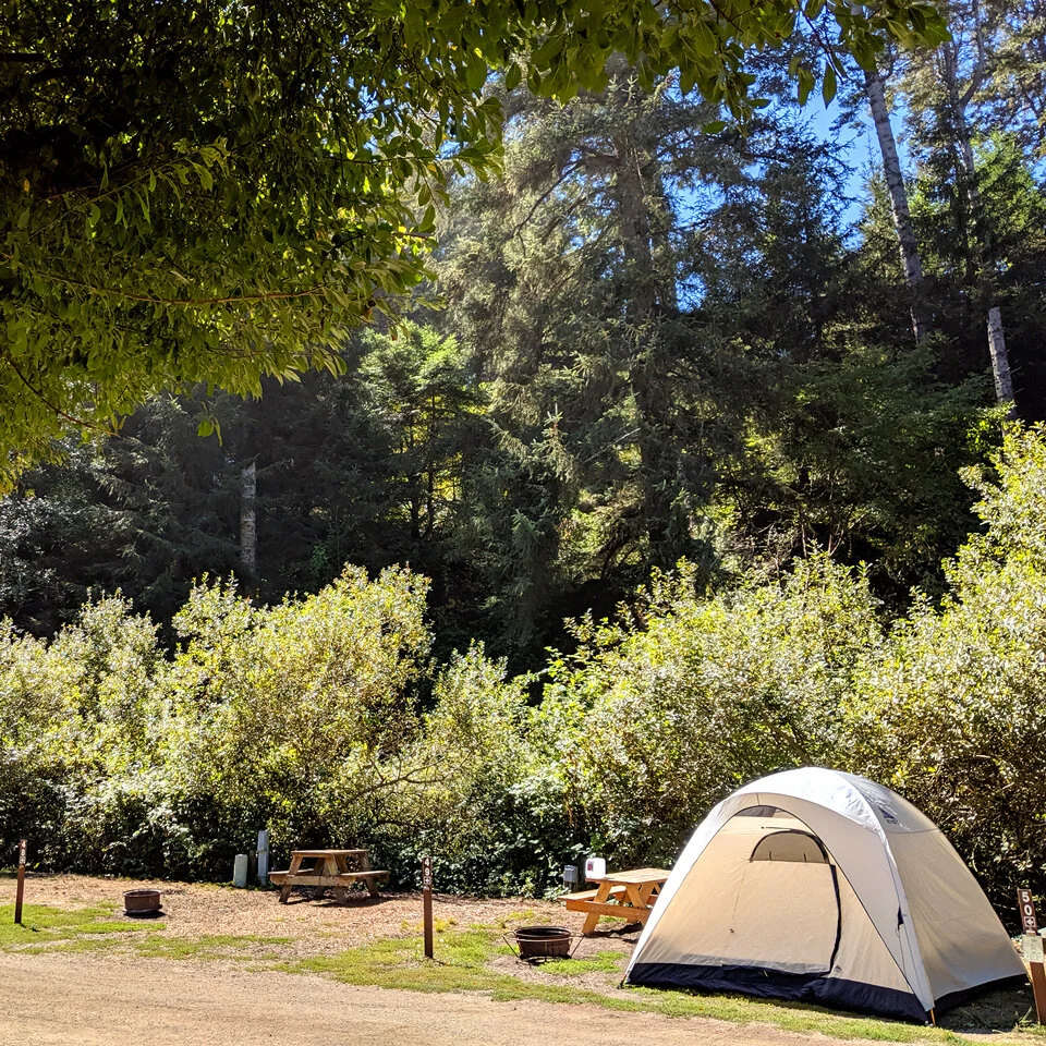 RV Sites — Caspar Beach RV Park and Camp Ground