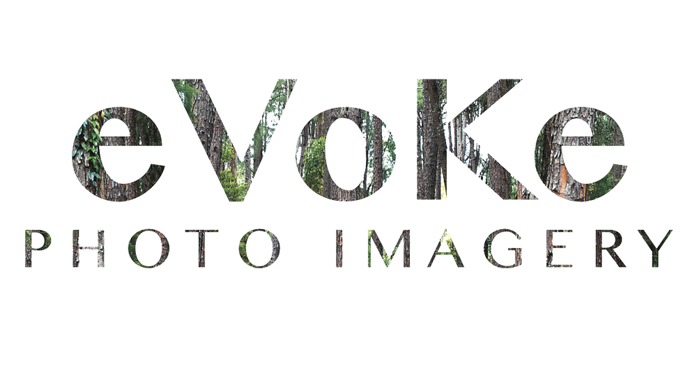 About Evoke Photo Imagery about-evoke-photo-imagery