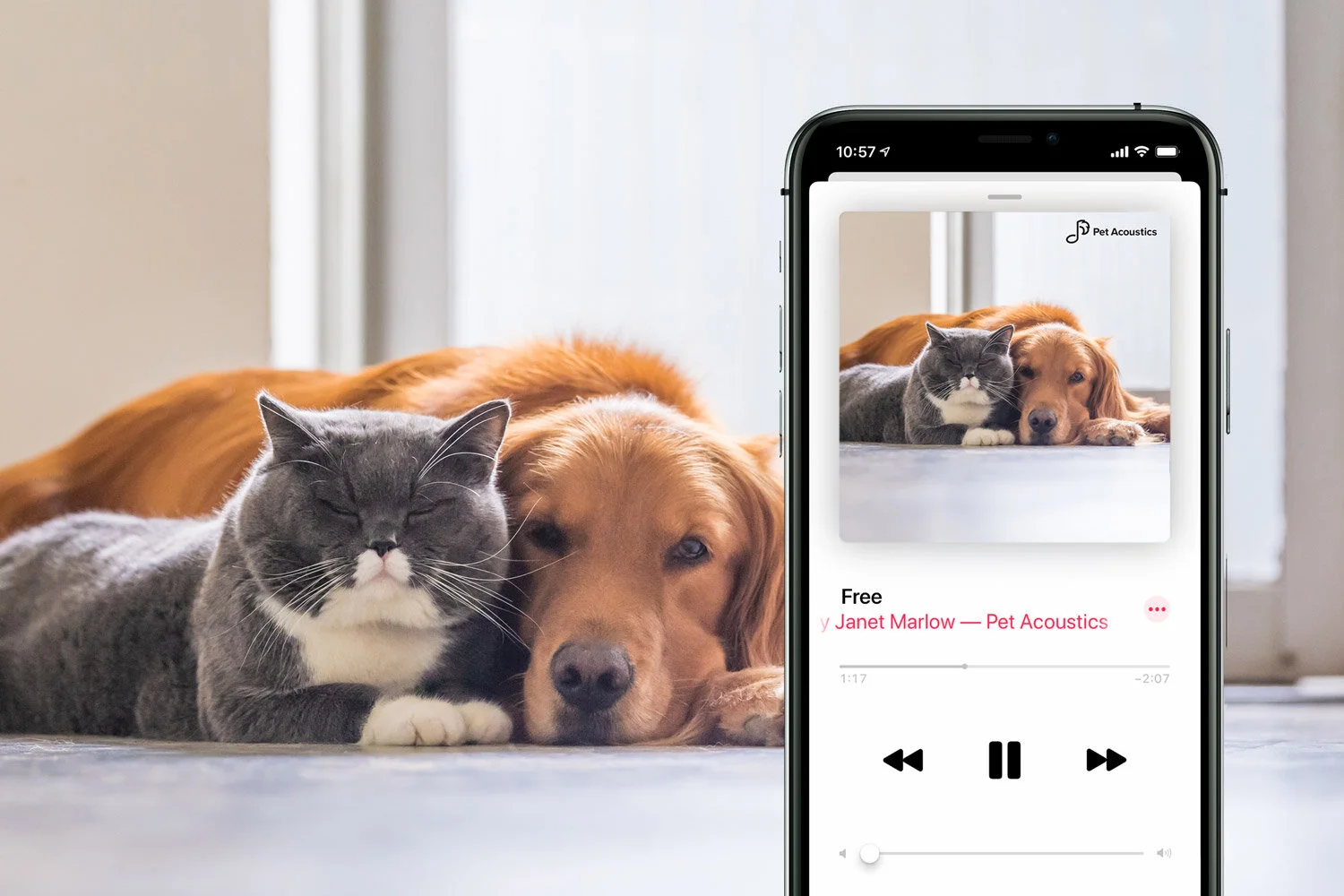 A Gift from Pet Acoustics — Pet Acoustics