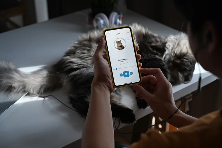 Test Your Pet's Hearing Health in Minutes with the Free Pet Hearing ...