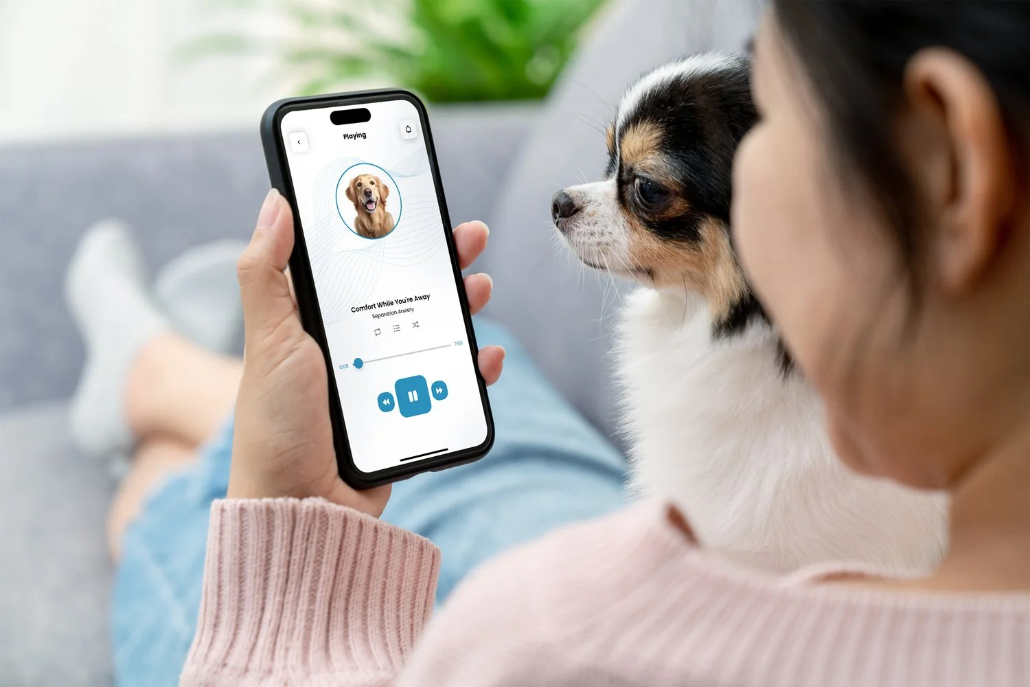 Test Your Pet's Hearing Health in Minutes with the Free Pet Hearing ...