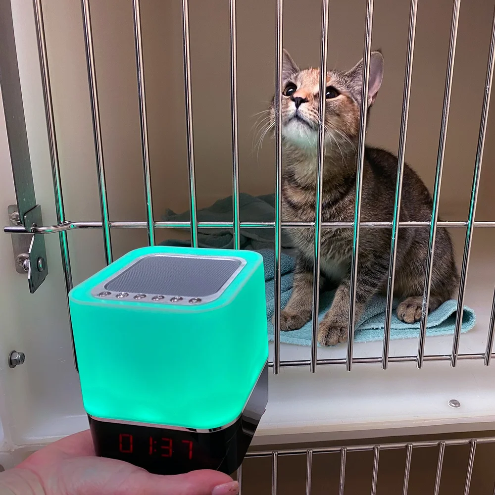 Global Veterinary Network — Pet Acoustics