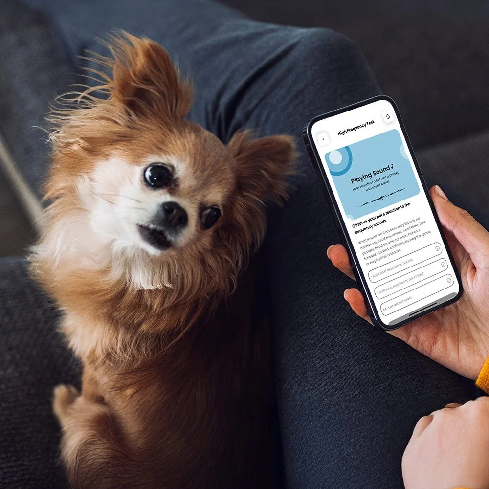 Test Your Pet's Hearing Health in Minutes with the Free Pet Hearing ...